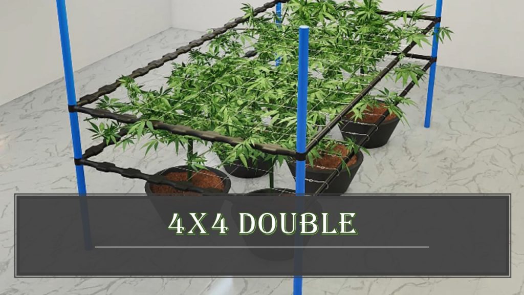 4x4 Easy-Scrog Duo - Scrogging | Scrog | Best Cannabis Trellising ...