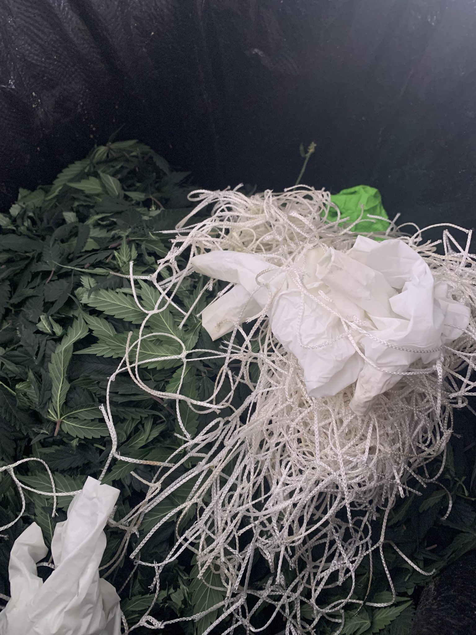 Sustainable and Cost-Effective Alternatives to Plastic Netting ...